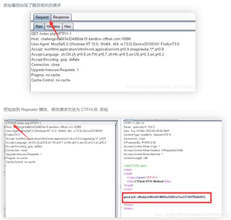 ctf之旅（ctfhub技能树 详细write up 已完结 （web前置技能） ctfhub 全部题目的writeup csdn博客
