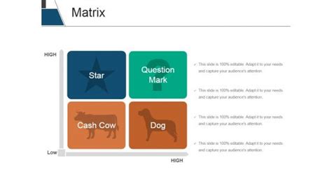 Matrix Ppt Powerpoint Presentation Infographic Template Outfit