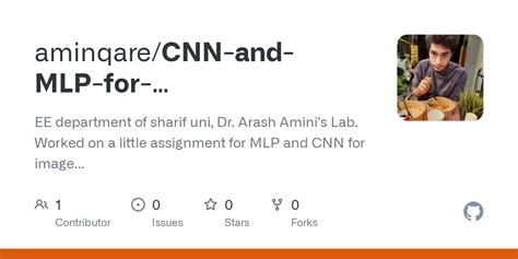 Github Aminqare Cnn And Mlp For Imageclassification Ee Department Of Sharif Uni Dr Arash