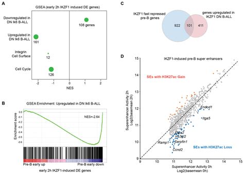 Conserved Helical Motifs In The Ikzf1 Disordered Region Mediate Nurd