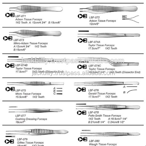 Surgical Forceps Types Medilivescare Manufacturing Pvt Ltd