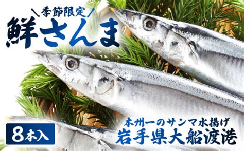 【予約受付中】 鮮さんま 8本入 1尾 100g〜120g 岩手大船渡産 サンマ 秋刀魚 海鮮 魚貝類 魚介類 産地直送 新鮮 期間限定