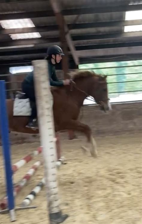 Lara Lain Horses Pictures Of Lara Riding Different Horses And Ponies