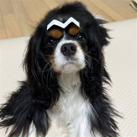 하돌 Ordinary Hs • Threads Say More