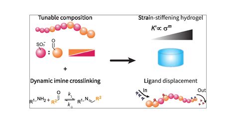 Well Defined Synthetic Copolymers With Pendant Aldehydes Form Biocompatible Strain Stiffening