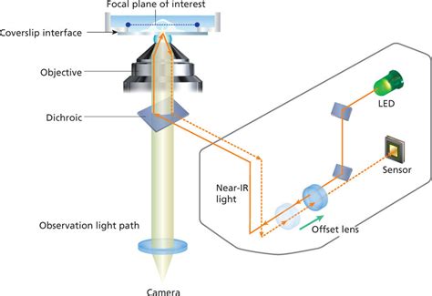 Eclipse Ji For Research Eclipse Ji Digital Microscopes Microscope