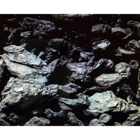 Sub Bituminous Coal At Best Price In Nagpur By Kamdhenucoaltraders Id