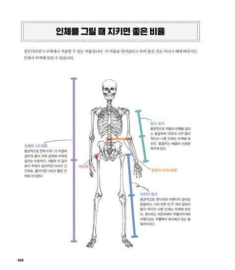 알라딘 미리보기 자연스러운 인체 드로잉