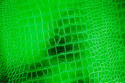 녹색 또는 에메랄드 색상 질감 패턴 추상 배경 벽 종이 화면 보호기 안내 책자 표지로 사용 될 수 있다 또는 프레 젠 테이 션 배경 또한 공간이 복사 텍스트에 대 한 가죽에