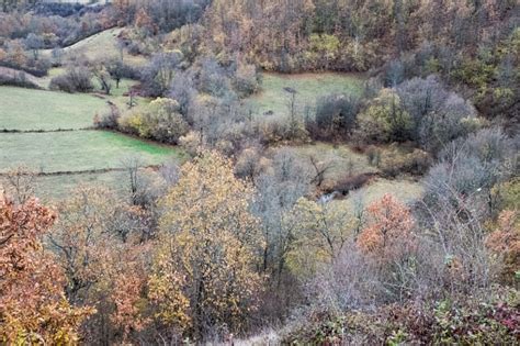우드 클리어링 화창한 따뜻한 가을 아침에 숲과 들판 자연 숲과 숲이 우거진 초원 개념 포스트 스크린 세이버 벽지 엽서 배너 포스터 표지에 대한 풍경 배경 0명에 대한 스톡
