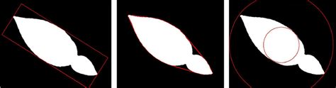 leaf minimum bounding box convex hull excircle and incircle
