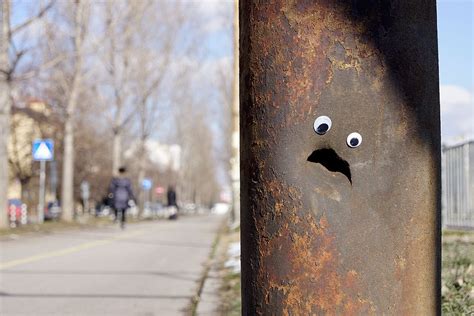 Artist Shows That Putting Googly Eyes On Inanimate Objects Never Gets