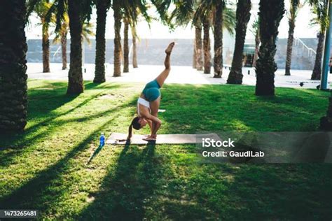 야자수가있는 햇볕이 잘 드는 공원에서 스트레칭 운동을 즐기는 백인 적합 소녀 완벽한 체형과 그림을 유지하기위한 후퇴 훈련 중 균형 아사나를 연습하는 여성 요기의 동기를 부여