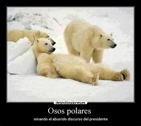 Imágenes Y Carteles De Asdfasdfasdf Pag 8 Desmotivaciones