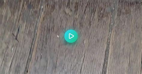 4 5 6 C Lo Trick Dice Works Sometimes Lol I Guess Thats A Good