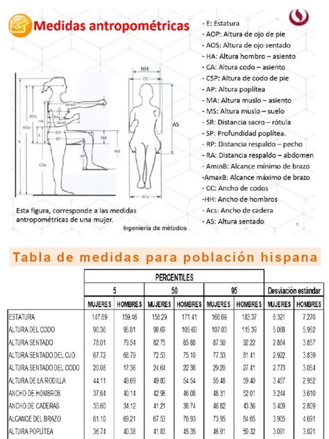 Medidas Antropométricas Para Diseño Ergonométrico Pdf Antropometría