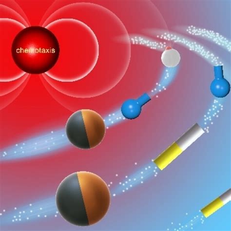 A Chemotactic Colloidal Motor Zhou 2022 Chemistry A European Journal Wiley Online Library