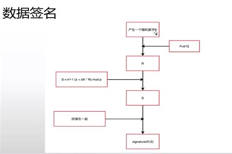 数据签名 说明文档 Csdn博客