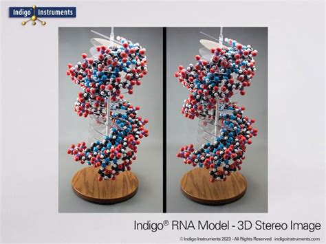 Indigo Rna Double Helix Molecular Model