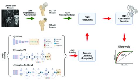 Flow Diagram Describing Methodology Followed For Data Augmentation