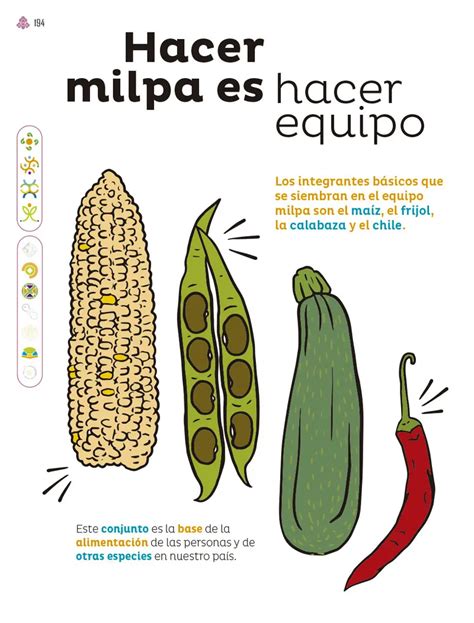Múltiples Lenguajes Cuarto Grado Primaria Libros De Texto Online