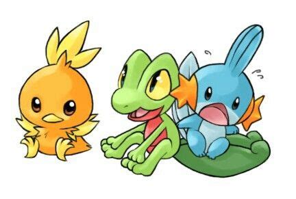 Torchic Treecko and Mudkip Pokemon Pokémon master Pokemon party