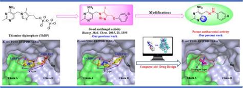 使用计算机辅助设计发现具有杀菌活性的丙酮酸脱氢酶复合物组分 E1 的有效抑制剂 Pesticide Biochemistry And Physiology X Mol