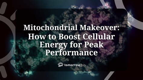 Mitochondrial Makeover How To Boost Cellular Energy For Peak Performance