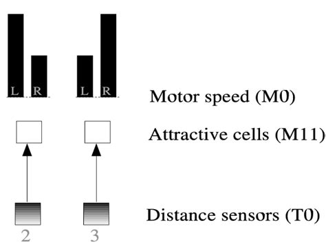15 Architecture Of The Network Implementing The Tactile Approaching