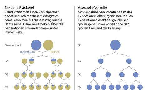 Genforschung Sex Sch Tzt Vor Mutanten Spektrum Der Wissenschaft