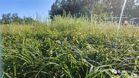 大模型用于知识图谱推理常用范式：兼论基于transe模型的知识推理实践 文心aigc