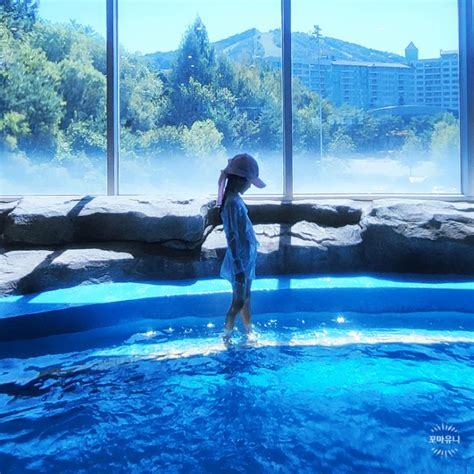 횡성 웰리힐리 워터파크 워터플래닛 수건 할인 준비물 식당 현대홈쇼핑 패키지 네이버 블로그