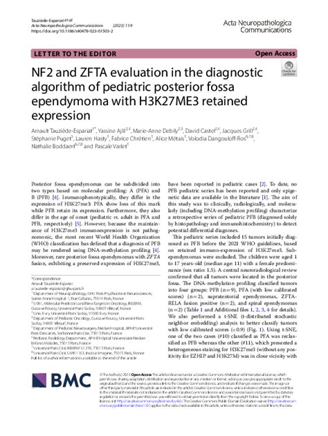 Pdf Nf2 And Zfta Evaluation In The Diagnostic Algorithm Of Pediatric
