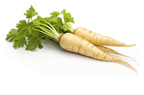 Premium Photo White Isolation Parsnip Premium Photo White Isolation Parsnip