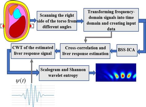 Diagram Of The Proposed HS Detection Method Download Scientific Diagram