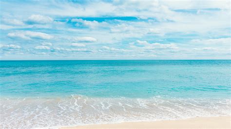 Funny Virtual Backgrounds For Webex Nextjas