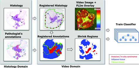 The Supervised Training Pipeline Involves Registration Of Download