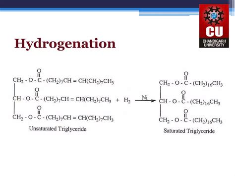 Triglycerides Pptx