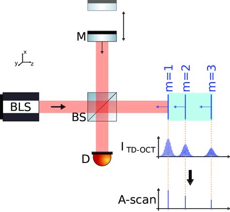 2 Principle Of The Time Domain Optical Coherence Tomography Download Scientific Diagram