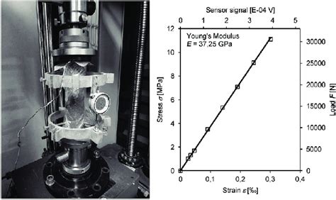 Deformability Tests For Cylindrical Samples And Youngs Modulus Download Scientific Diagram