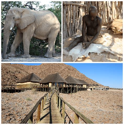 Wybrzeże Szkieletowe W Namibii Galeria Zdjęć Z Namibii Cartereu