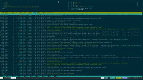 Htop Rendering With Missing Text · Issue 786 · Alacrittyalacritty · Github