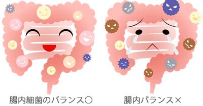 腸内フローラフィトンチッド