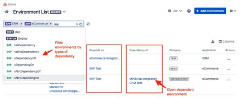 environment dependencies