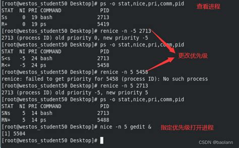 最详细的linux中的进程管理 ntools进程 csdn博客