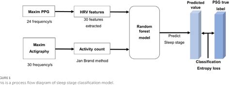 Figure 1 From Automation Of Classification Of Sleep Stages And