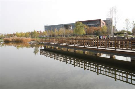 北理工良乡校区北湖工程获优秀园林绿化工程