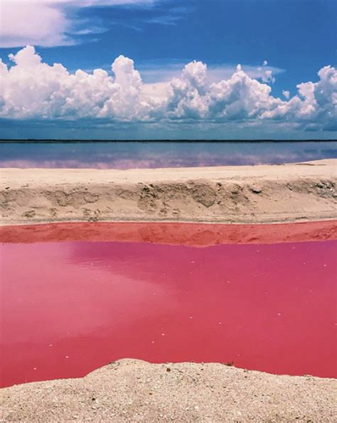 De Cuento De Hadas La Laguna Rosada De México Que Ha Cautivado A La