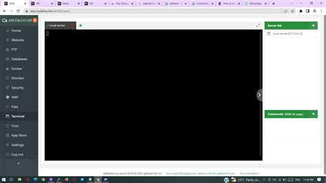 Terminal Problem Aapanel Free Hosting Control Panel One Click Lamp