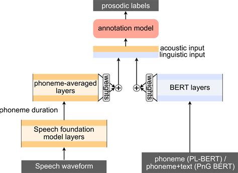 Prosody Labeling With Phoneme Bert And Speech Foundation Models Ai